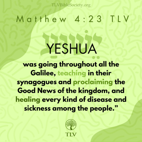 VCHS Book Store - 2024